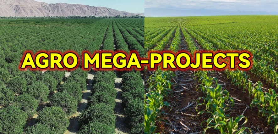 Is Agro Mega-Projects The Solution To Developing Countries Challenges?
